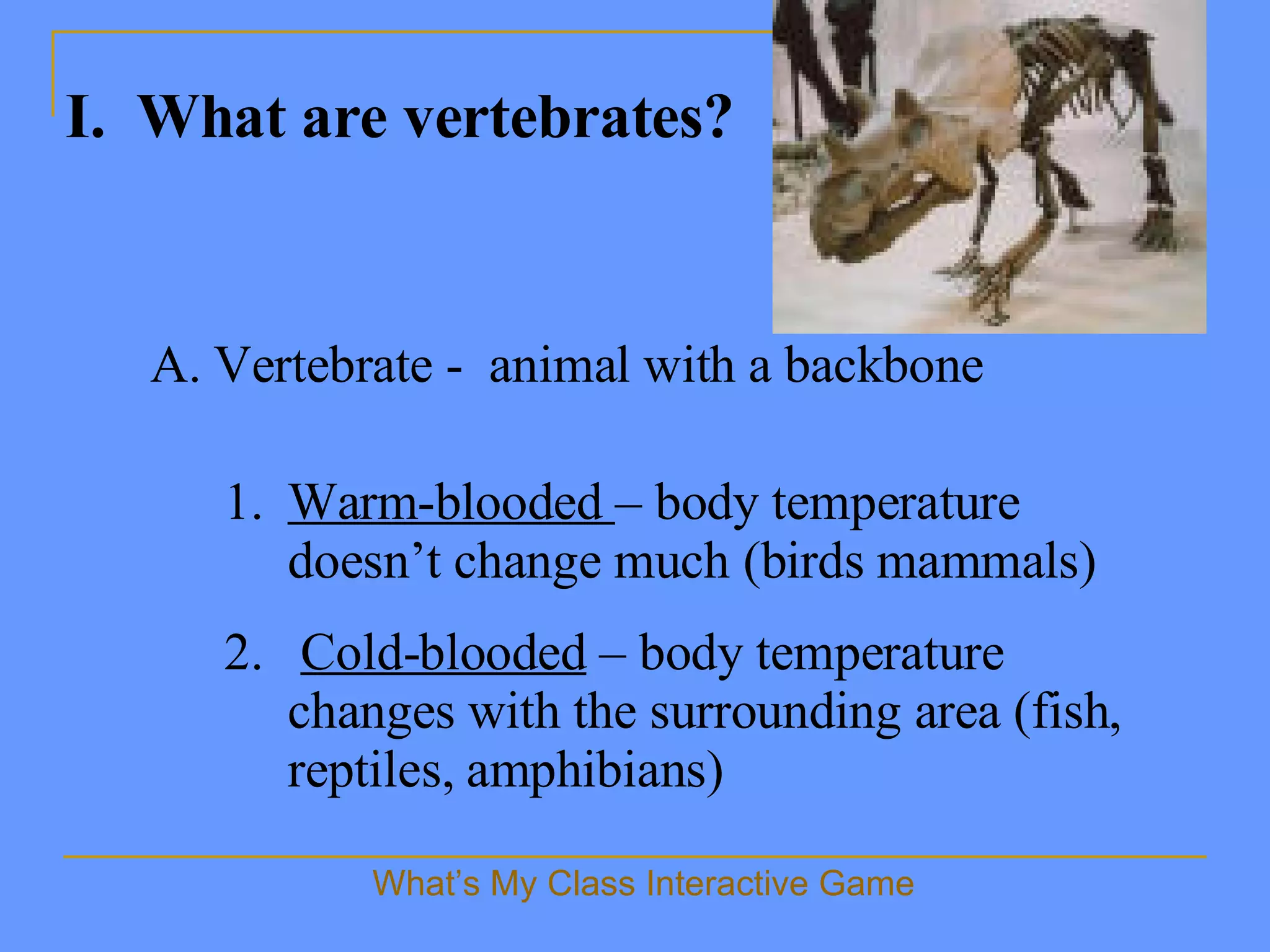 Chapter 2 Lesson 2 Vertebrates | PPT