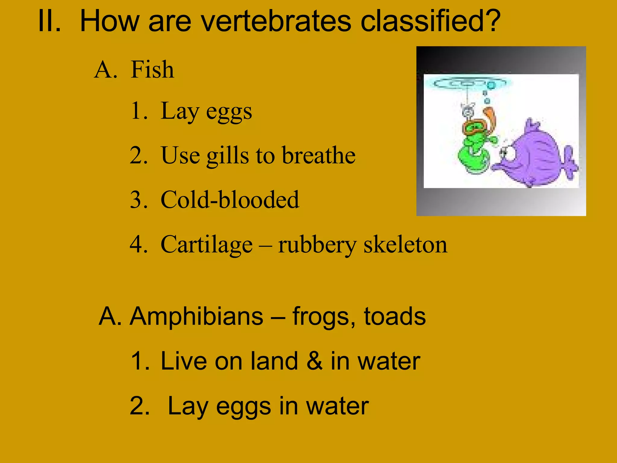 Chapter 2 Lesson 2 Vertebrates | PPT