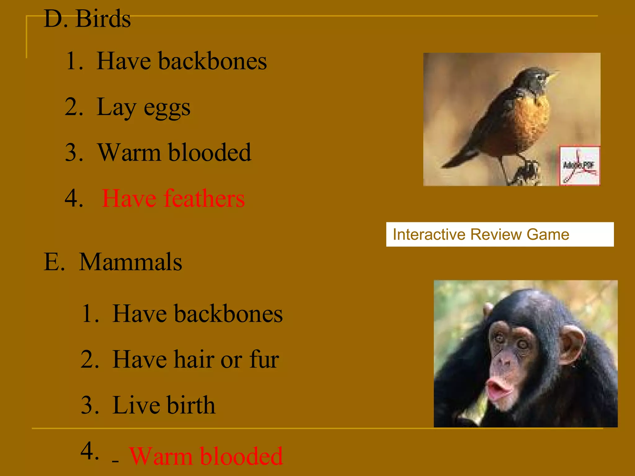 Chapter 2 Lesson 2 Vertebrates | PPT