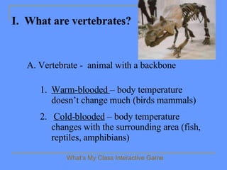 Chapter 2 Lesson 2 Vertebrates | PPT