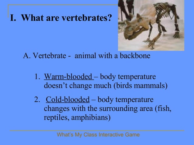 Chapter 2 Lesson 2 Vertebrates | PPT
