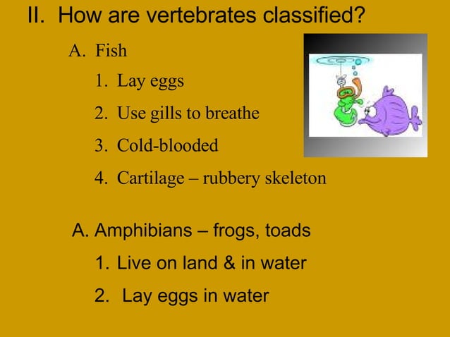 Chapter 2 Lesson 2 Vertebrates | PPT