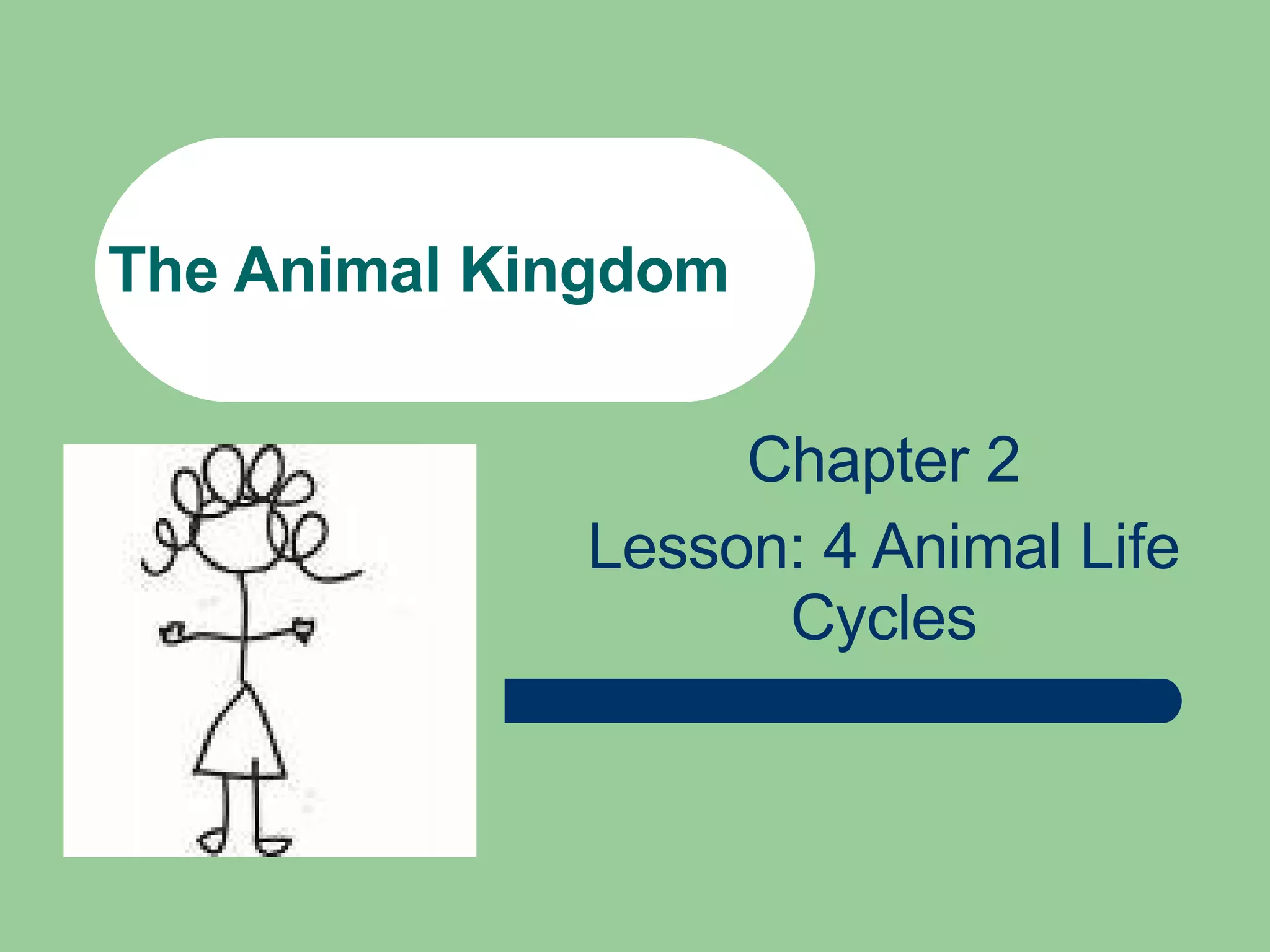 Chapter 2 Lesson 4 Life Cycles | PPT | Biological Sciences | Science