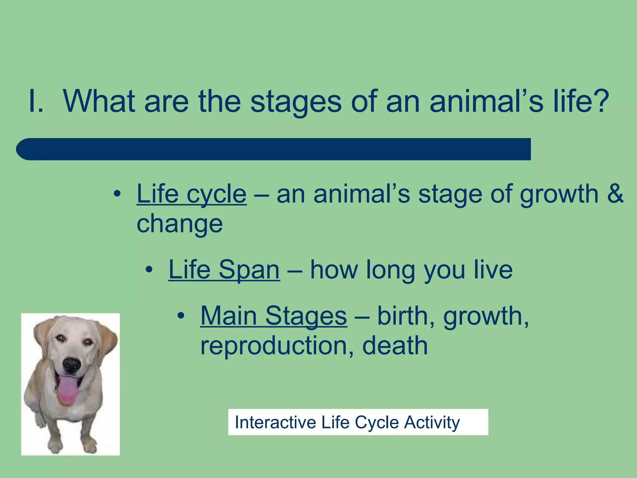 Chapter 2 Lesson 4 Life Cycles | PPT | Biological Sciences | Science