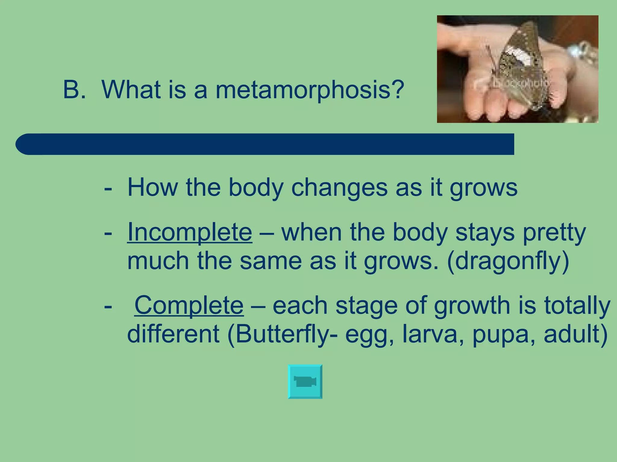 Chapter 2 Lesson 4 Life Cycles | PPT | Biological Sciences | Science