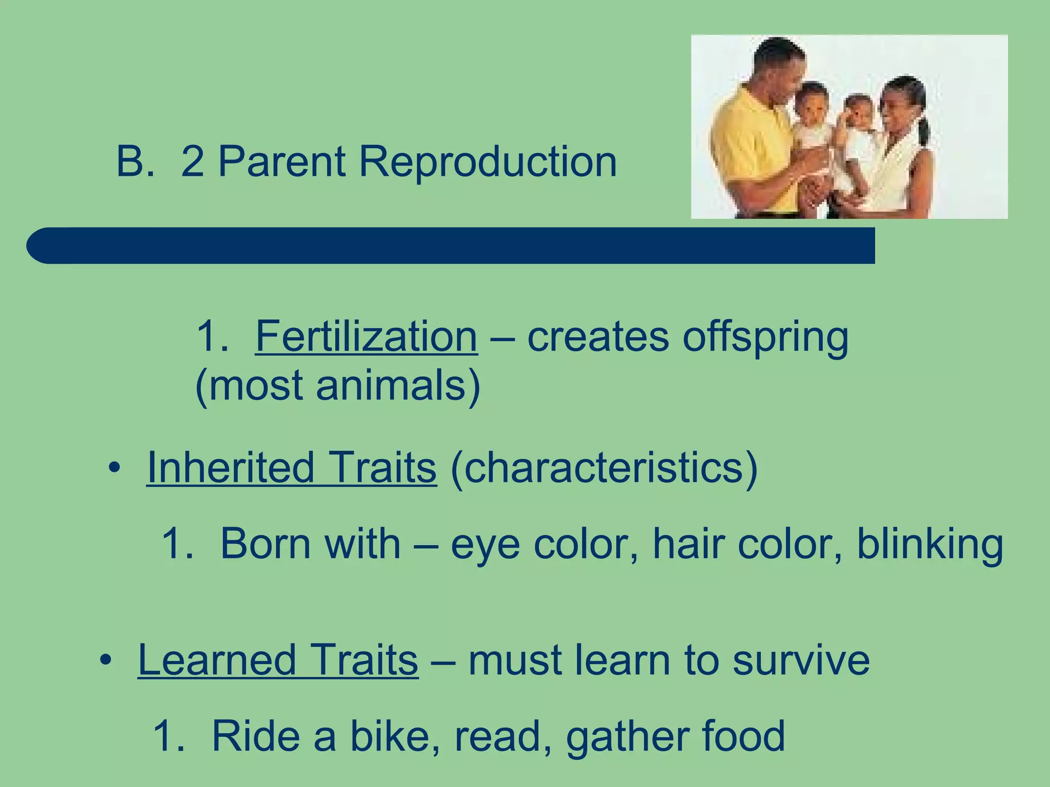 Chapter 2 Lesson 4 Life Cycles | PPT