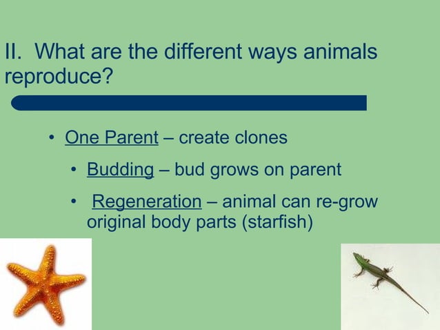Chapter 2 Lesson 4 Life Cycles | PPT | Biological Sciences | Science