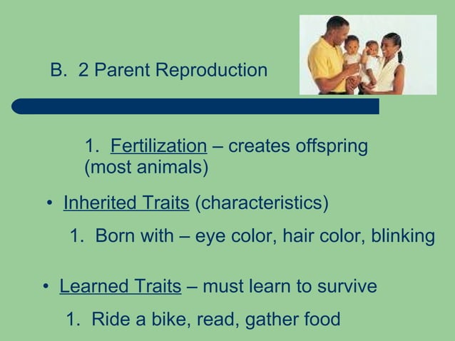 Chapter 2 Lesson 4 Life Cycles | PPT | Biological Sciences | Science