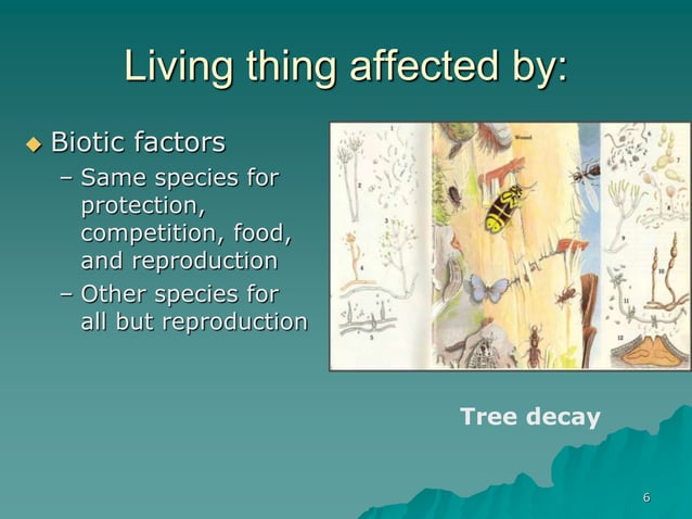 Chapter-2-Principles-of-Ecology- Organism | PPT