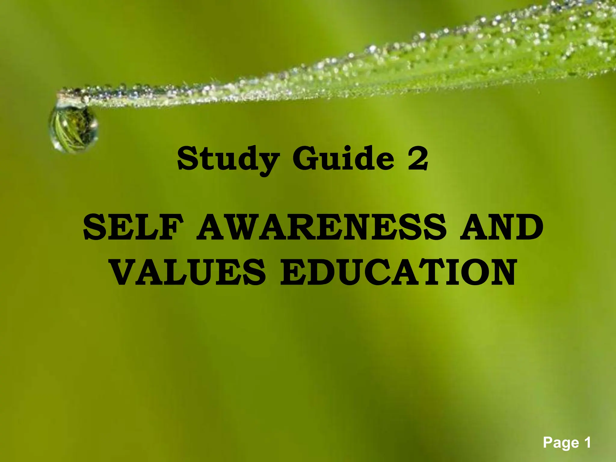 CHAPTER-2-SELF-AWARENESS-AND-VALUES-EDUCATION.pptx