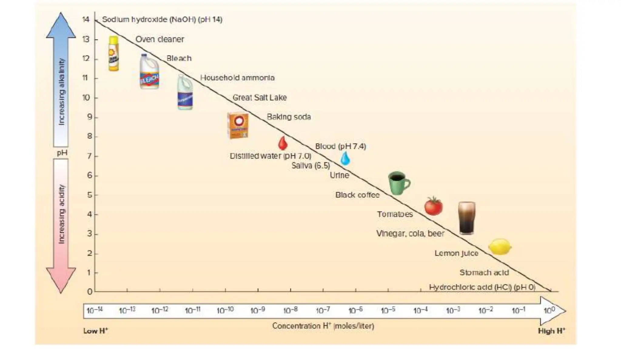 Chapter-2-The-Chemical-Basis-of-Life.pptx