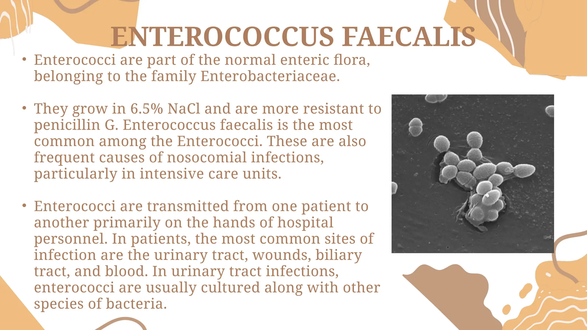 CHAPTER- 20-URINARY-TRACT-INFECTION.pptx