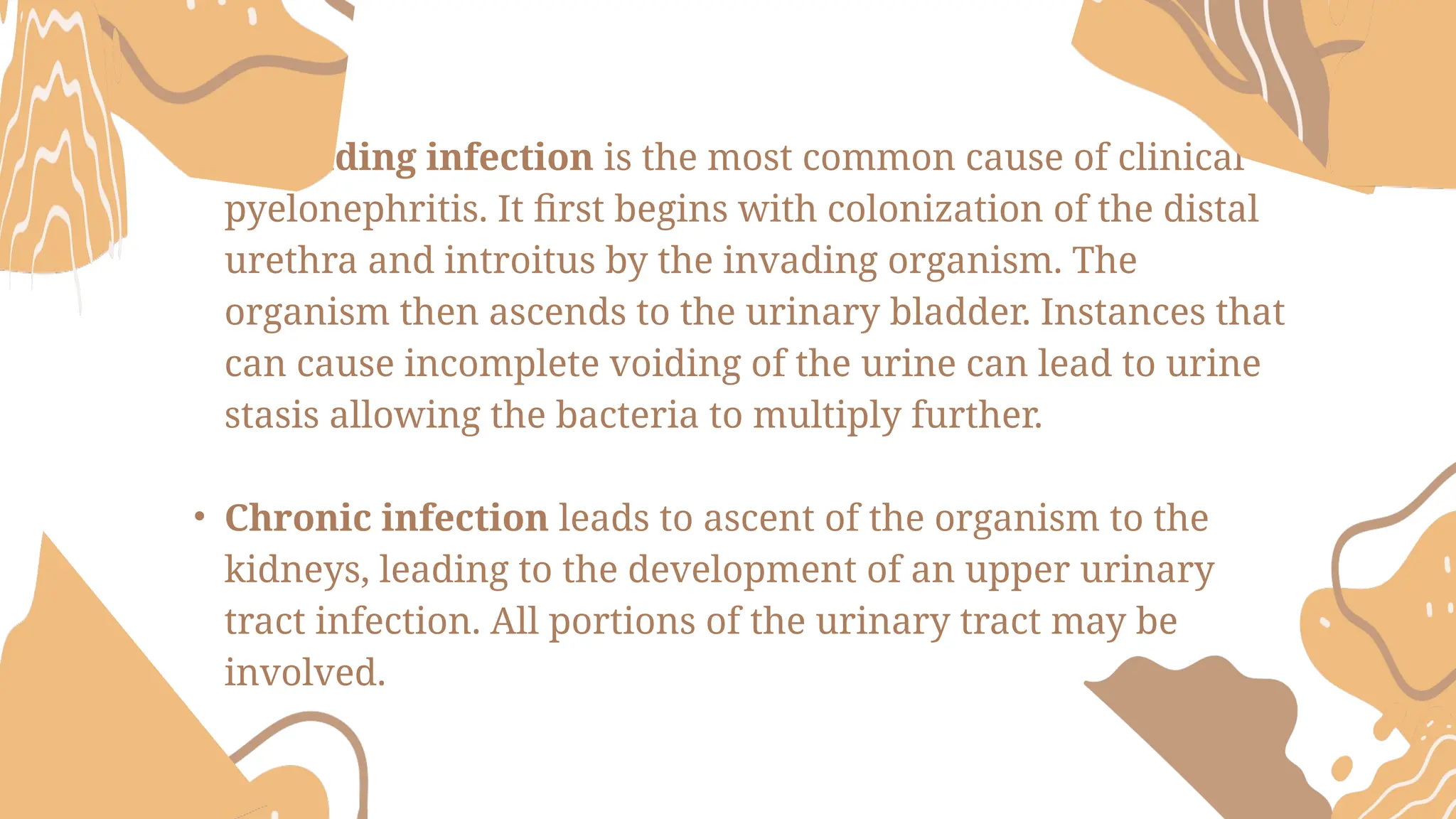 CHAPTER- 20-URINARY-TRACT-INFECTION.pptx