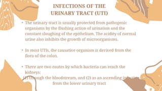 CHAPTER- 20-URINARY-TRACT-INFECTION.pptx