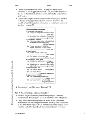 Chapter 18 real world lab dichotomous key leaves | PDF