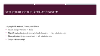 Comprehensive Overview of the Lymphatic and Immune Systems: Structure ...