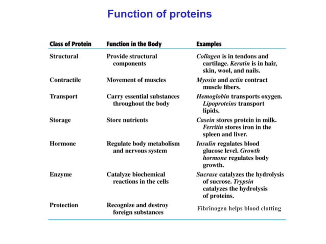 Chapter-21-Proteins-and-Enzymes Biochem.pdf