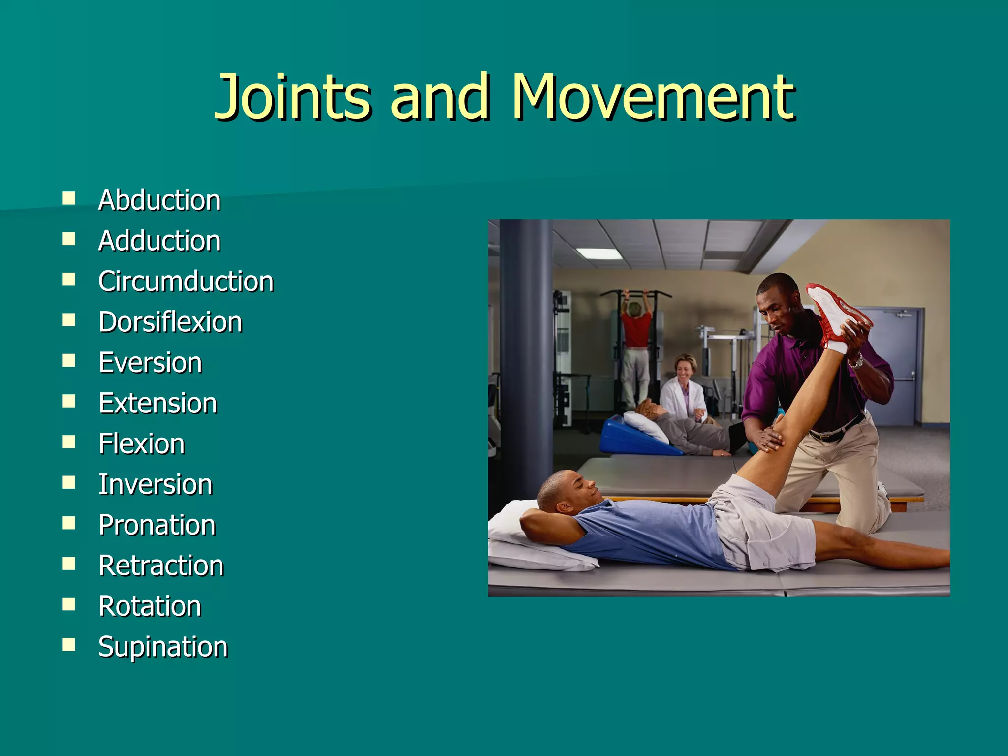 Chapter 21 Skeletal | PPT