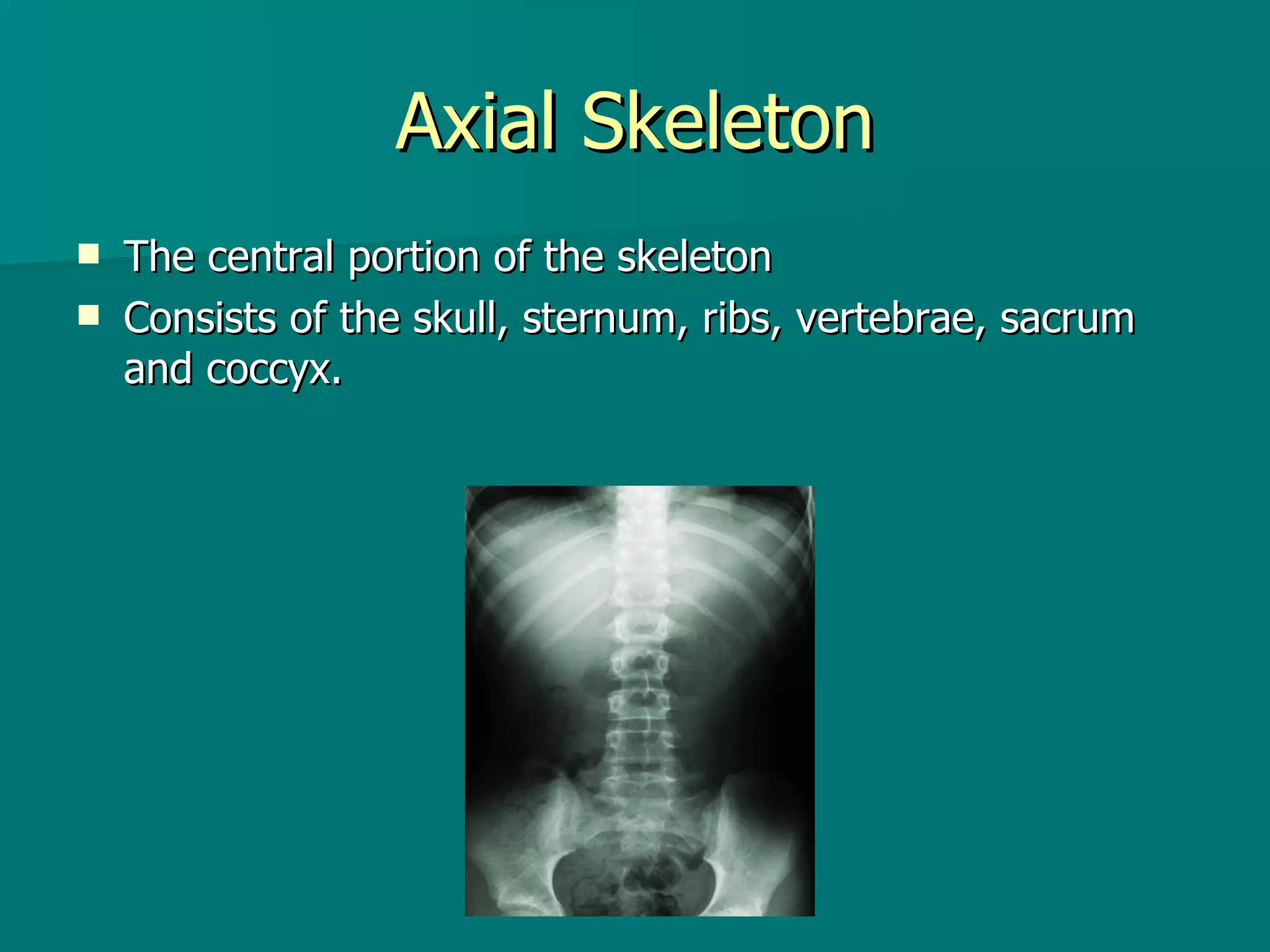 Chapter 21 Skeletal | PPT