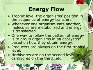Chapter 22 Ecosystems and the Biosphere | PPT | Geography | Science