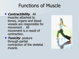 Chapter 22 Muscular System | PPT | Physical Therapy | Wellness