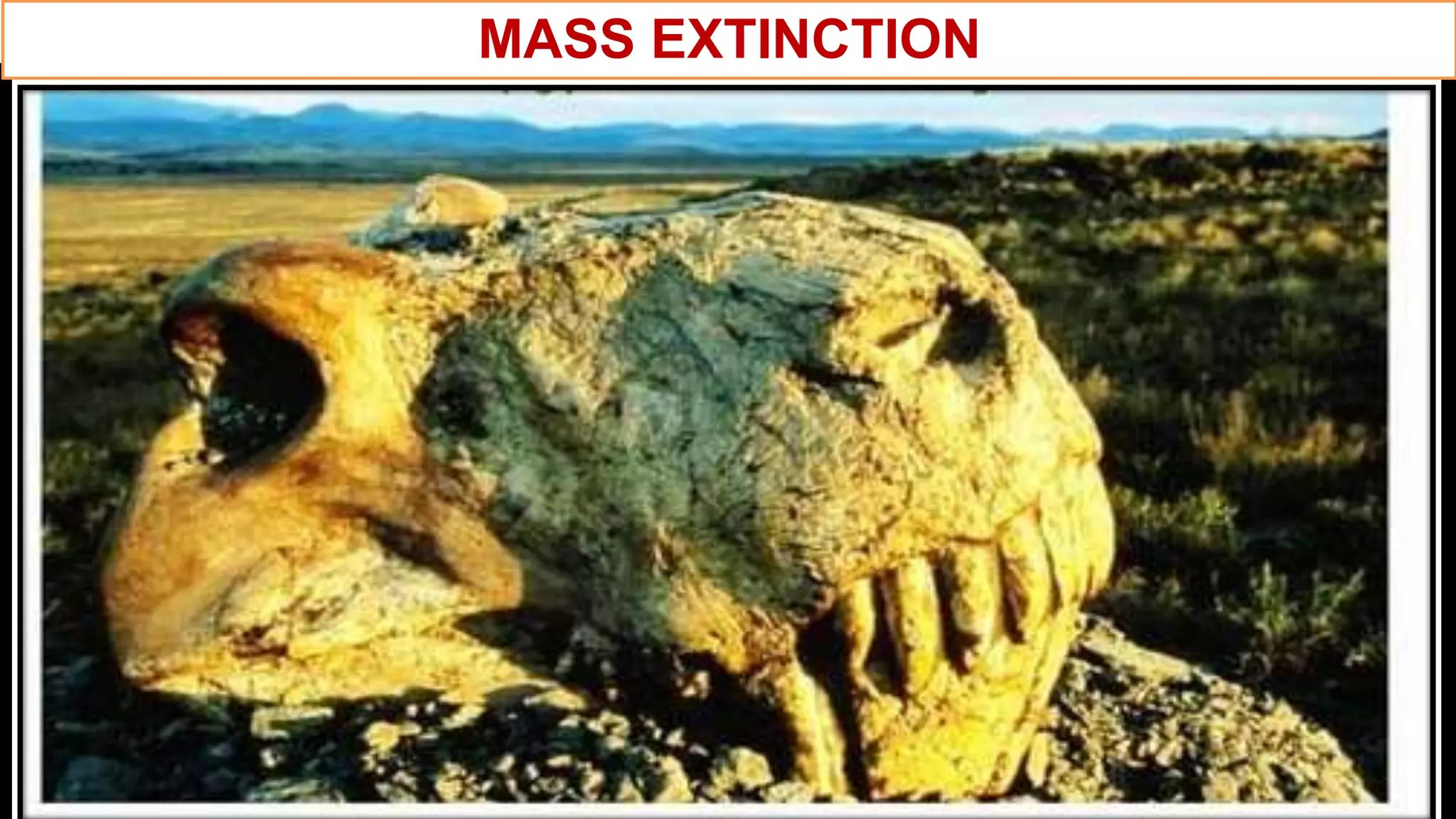 chapter. 6 Mass extinction and biodi. loss -.pptx