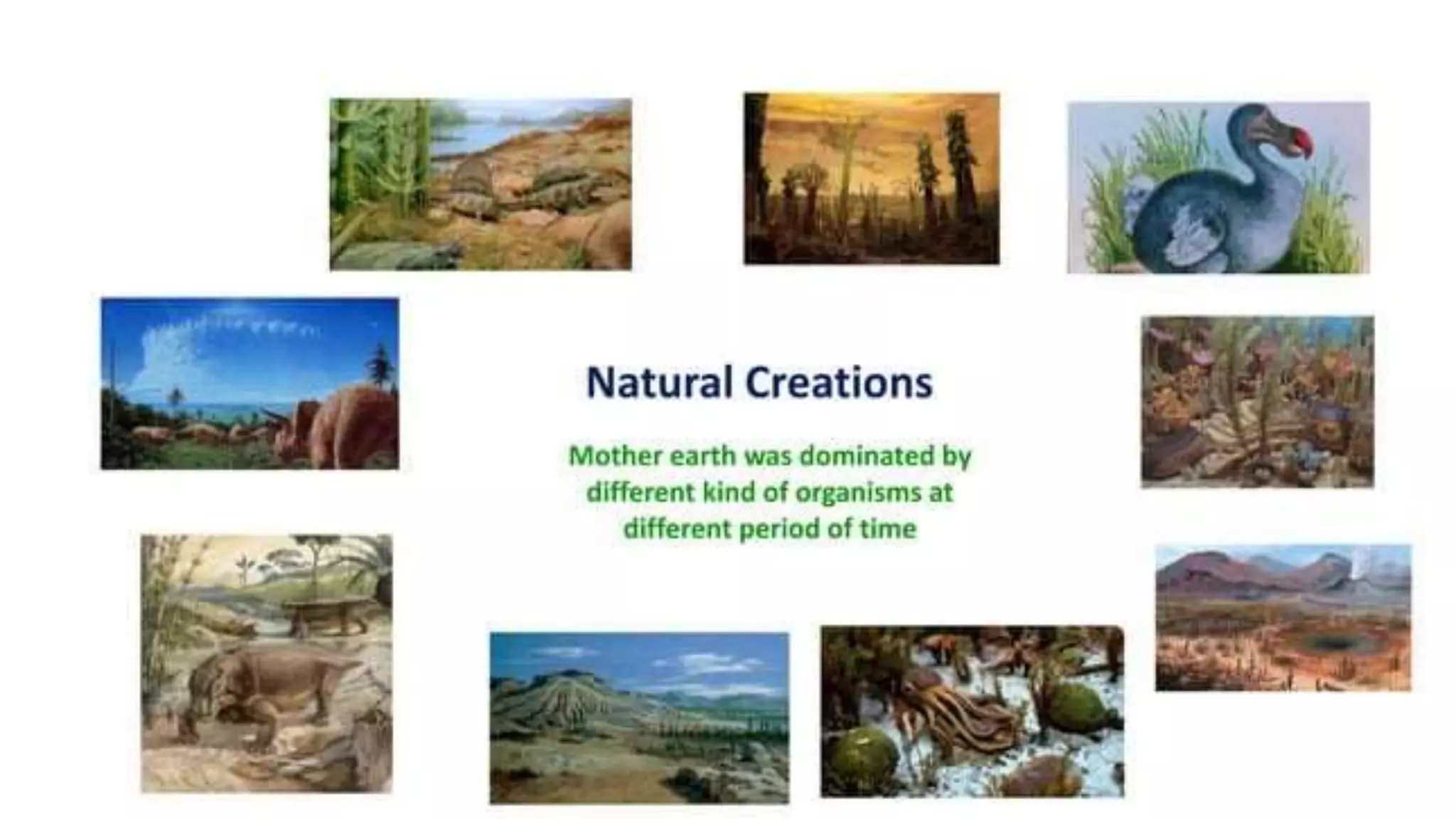 chapter. 6 Mass extinction and biodi. loss -.pptx