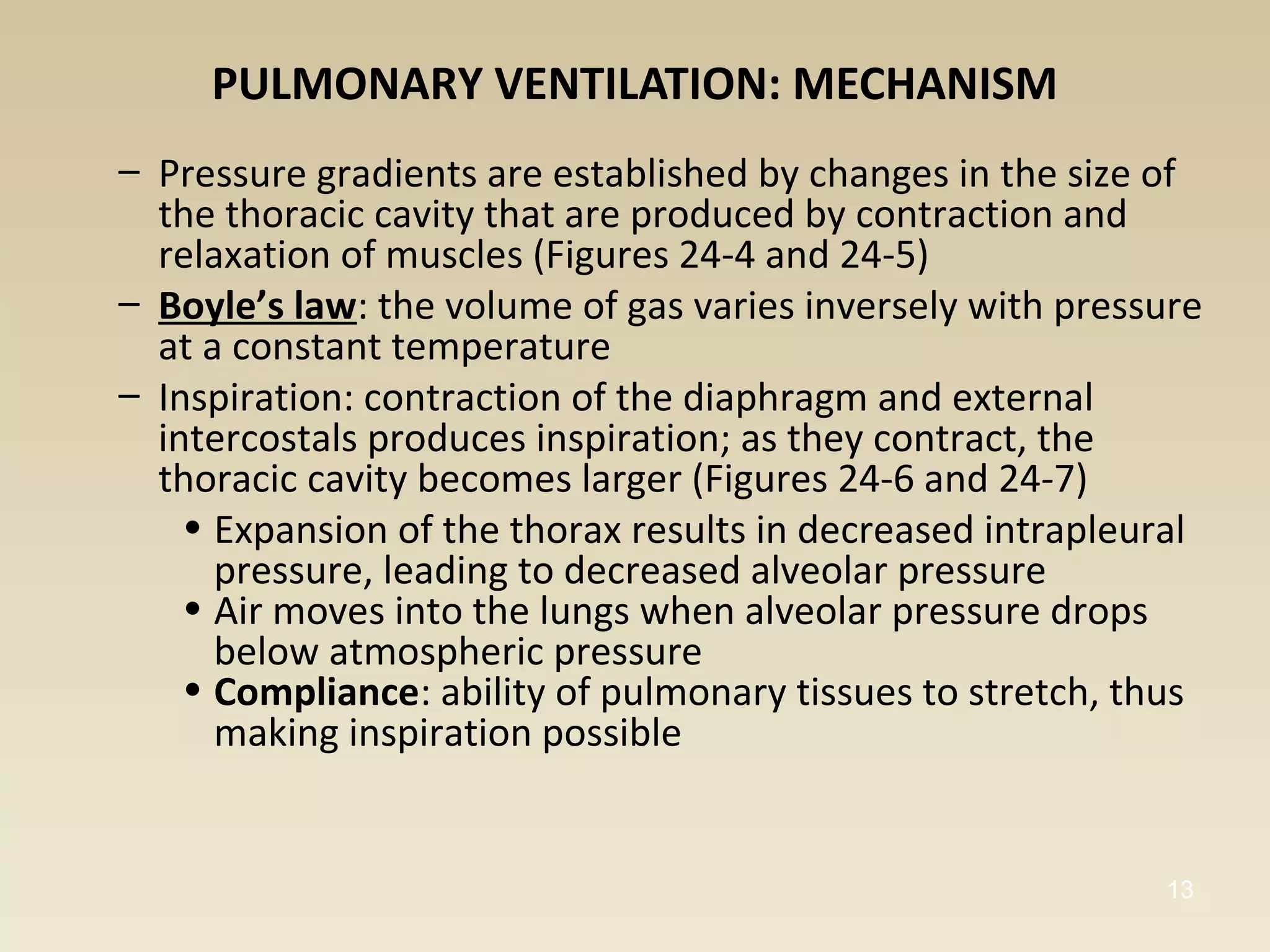 Respiratory #1, Pulmonary Ventilation - Physiology | PPT