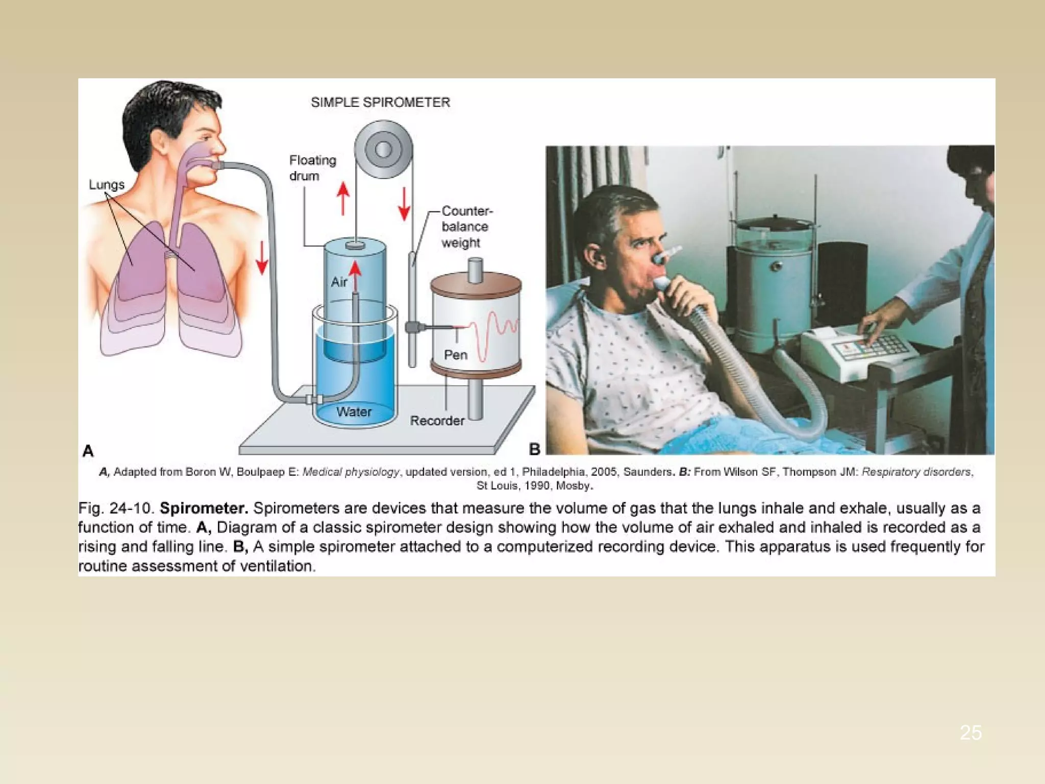 Respiratory #1, Pulmonary Ventilation - Physiology | PPT