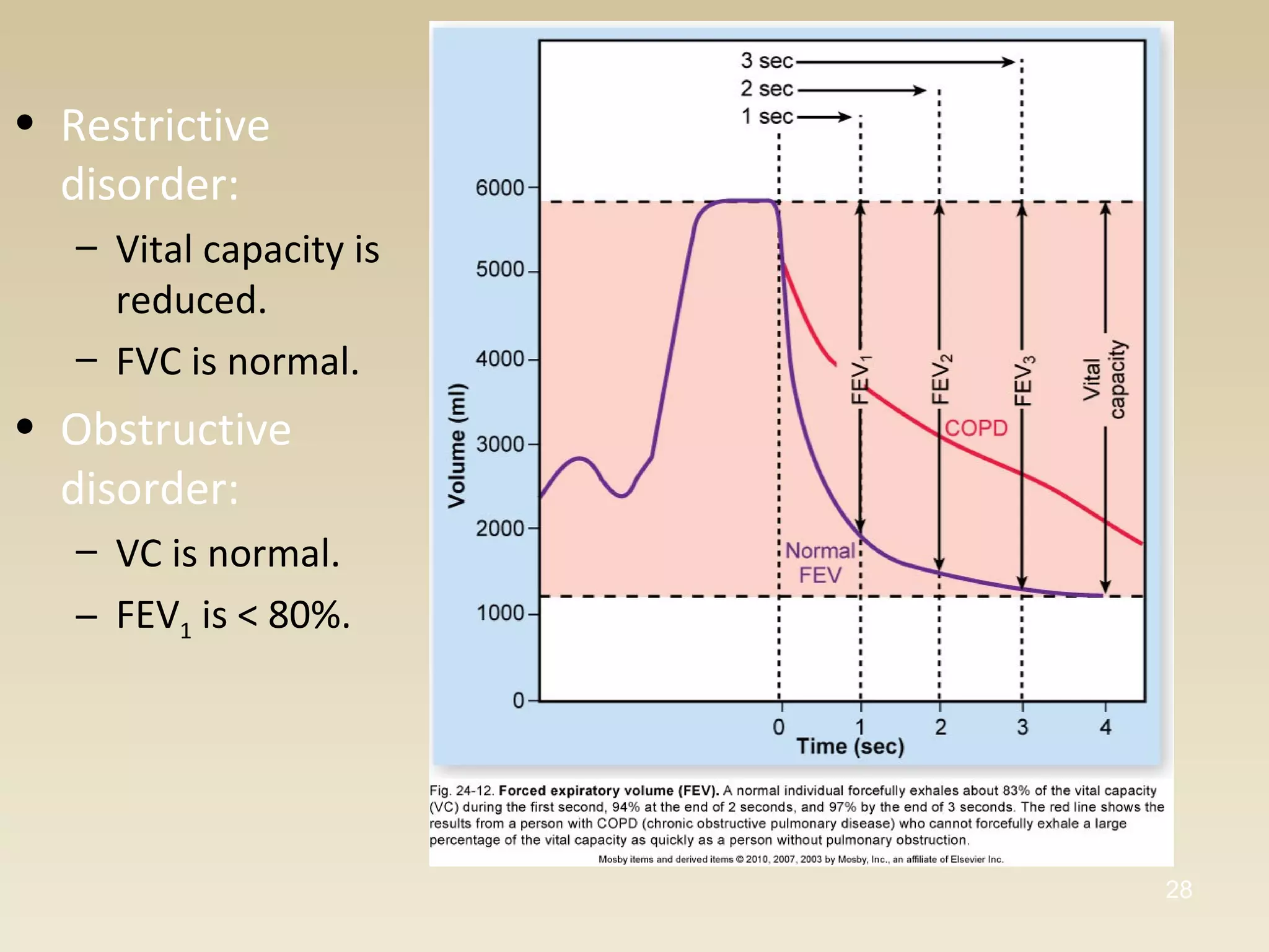 Respiratory #1, Pulmonary Ventilation - Physiology | PPT