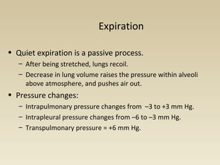 Respiratory #1, Pulmonary Ventilation - Physiology | PPT