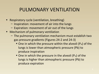 Respiratory #1, Pulmonary Ventilation - Physiology | PPT