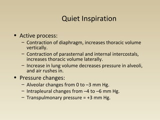 Respiratory #1, Pulmonary Ventilation - Physiology | PPT