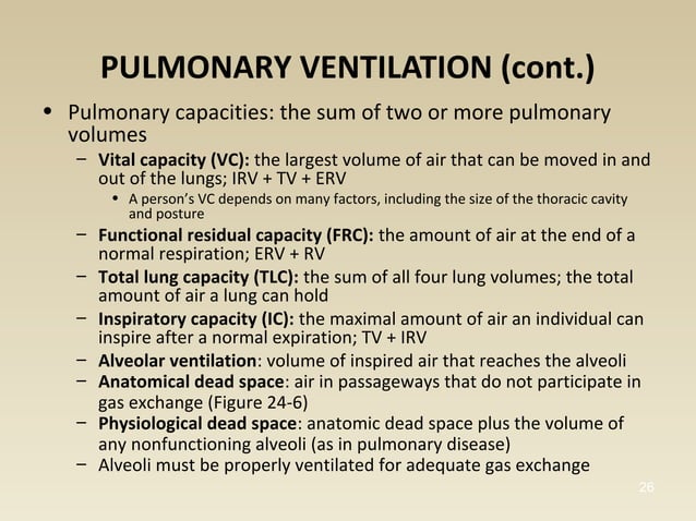 Respiratory #1, Pulmonary Ventilation - Physiology