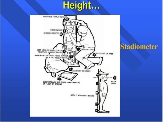 CHAPTER-2 ANTHROPOMETRIC ASSESSMENTS.pptx