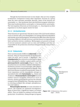 Chapter 2 Biological Classification Pdf
