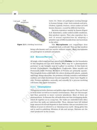 Chapter 2 biological classification | PDF
