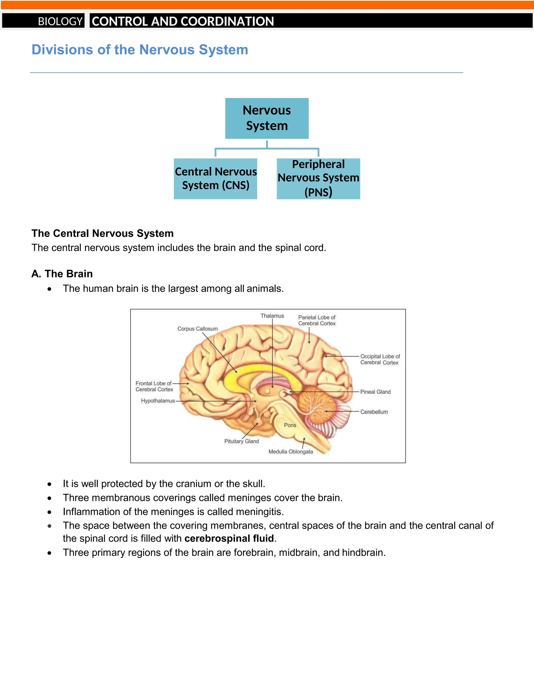 CBSE - Grade 10 - Science - Biology - Ch 2 - Control and Coordination ...