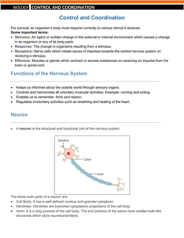 CBSE - Grade 10 - Science - Biology - Ch 2 - Control and Coordination ...