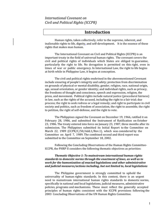 Chapter 2: ICCPR Chapter | PDF