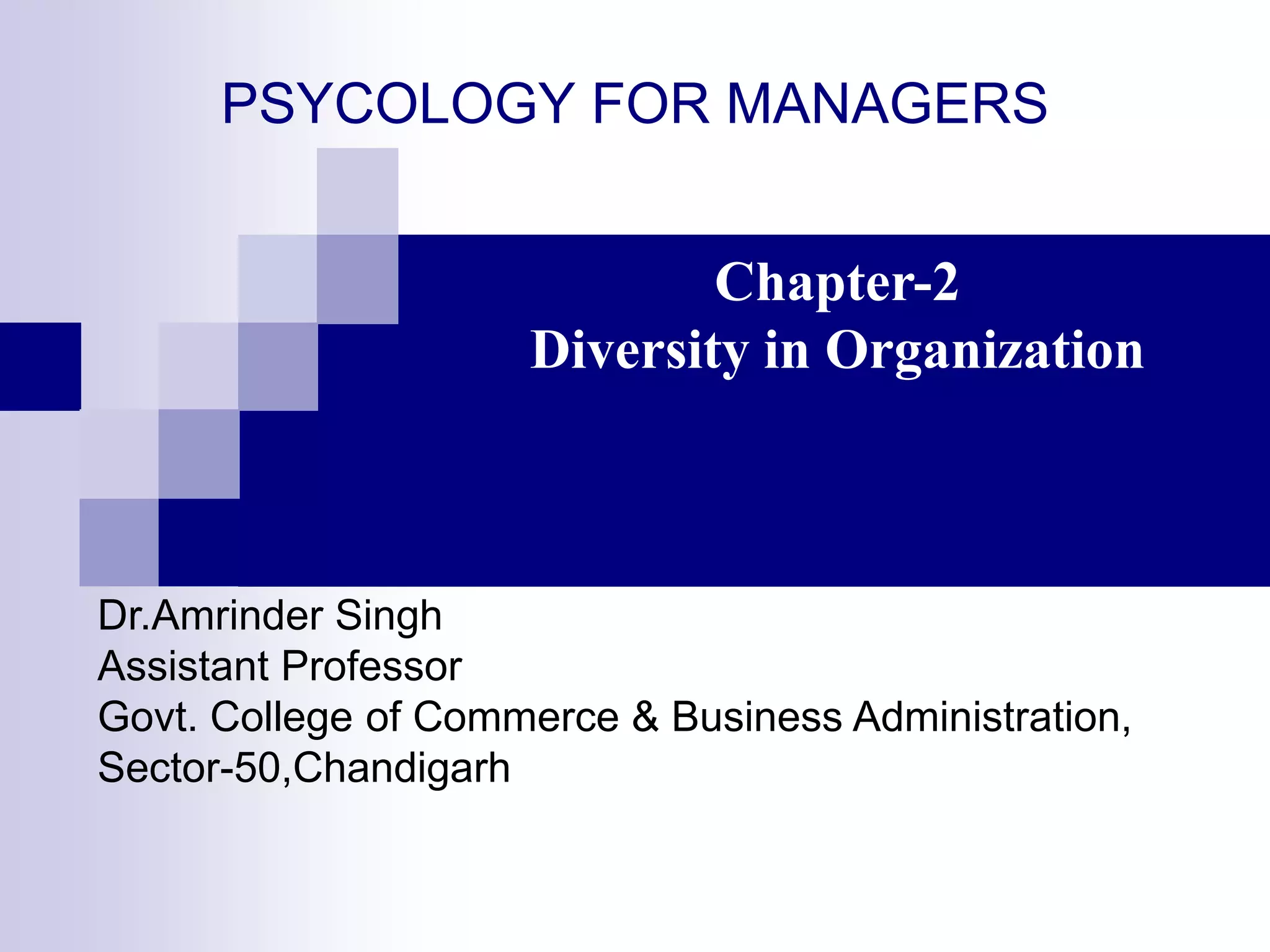 Diversity In Organizations, Chapter-2, Organizational Behavior | PDF