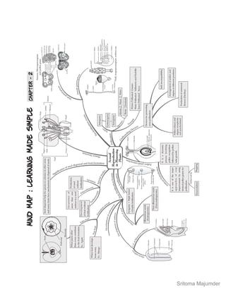 CBSE - Grade 12 - Science - Biology - Ch -2 - Sexual Reproduction In ...