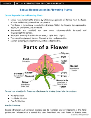 CBSE - Grade 12 - Science - Biology - Ch -2 - Sexual Reproduction In ...