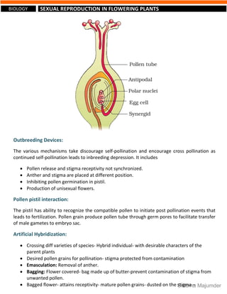 CBSE - Grade 12 - Science - Biology - Ch -2 - Sexual Reproduction In ...