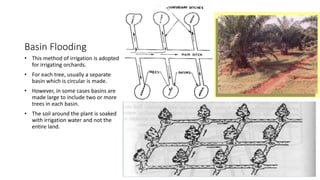 Methods of Irrigation | PPTX
