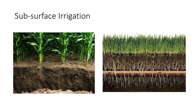Methods of Irrigation | PPTX