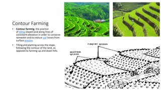Methods of Irrigation | PPTX