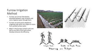 Methods of Irrigation | PPTX