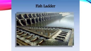 chapter-3.pptx: CHANNEL HEADWORKS AND CANALS | PPTX