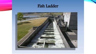 chapter-3.pptx: CHANNEL HEADWORKS AND CANALS | PPTX